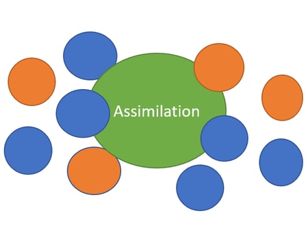 Assimilation: What to Measure